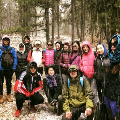 IELTS – Golden Compass